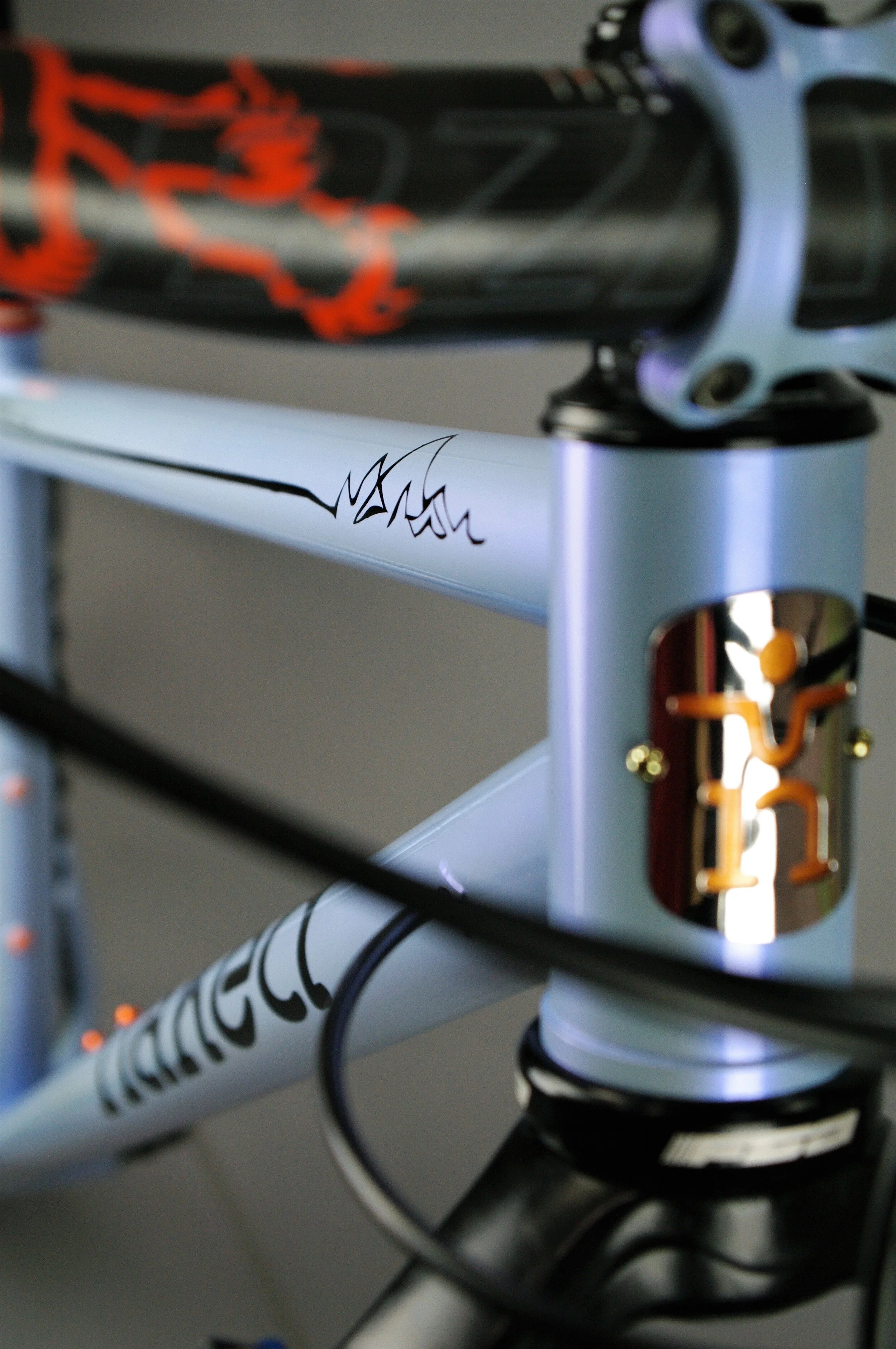 Annie B's Steel 29er Hardtail — Naked Bicycles & Design