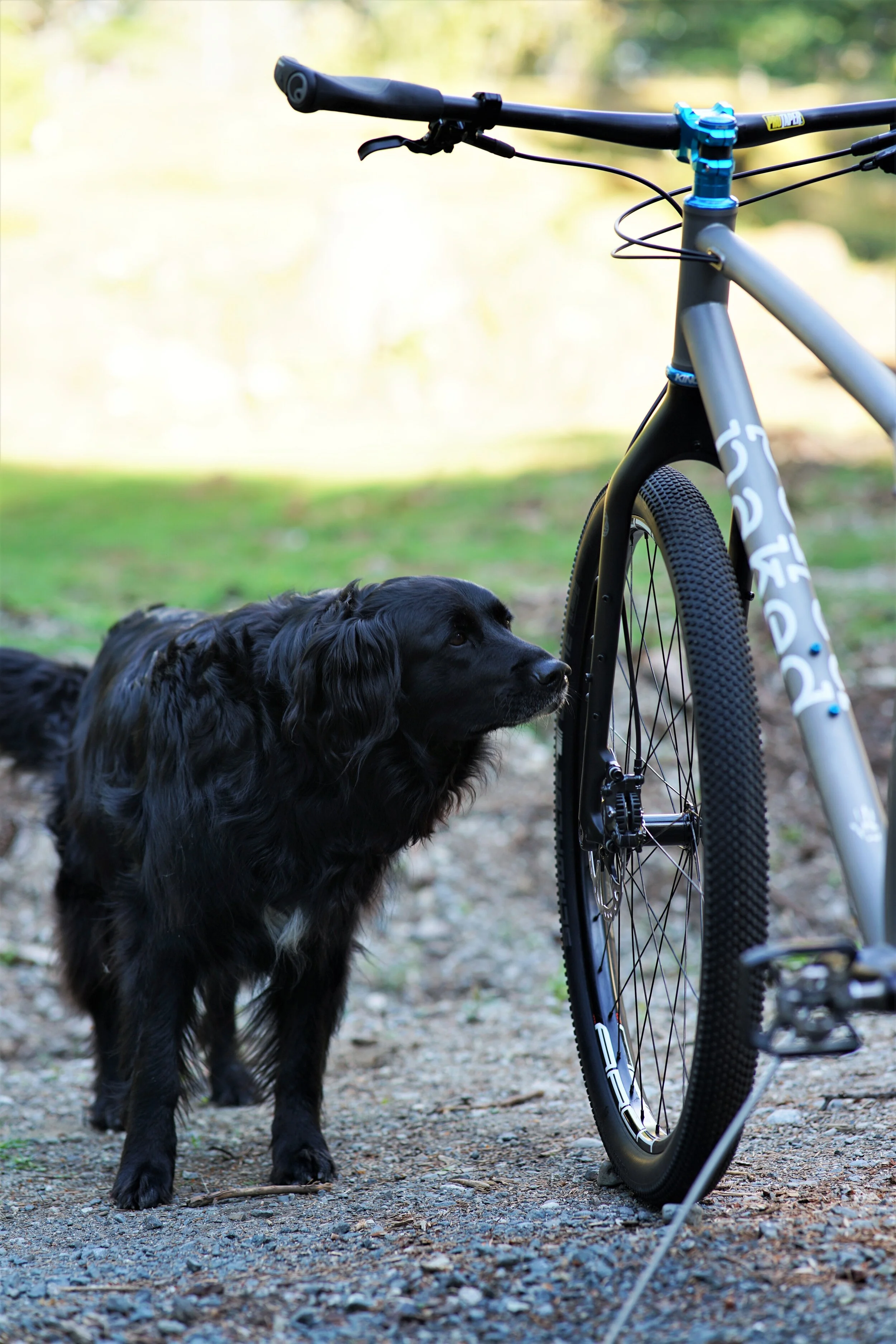 Joakim's Ti Fully Rigid 29er ATB — Naked Bicycles & Design