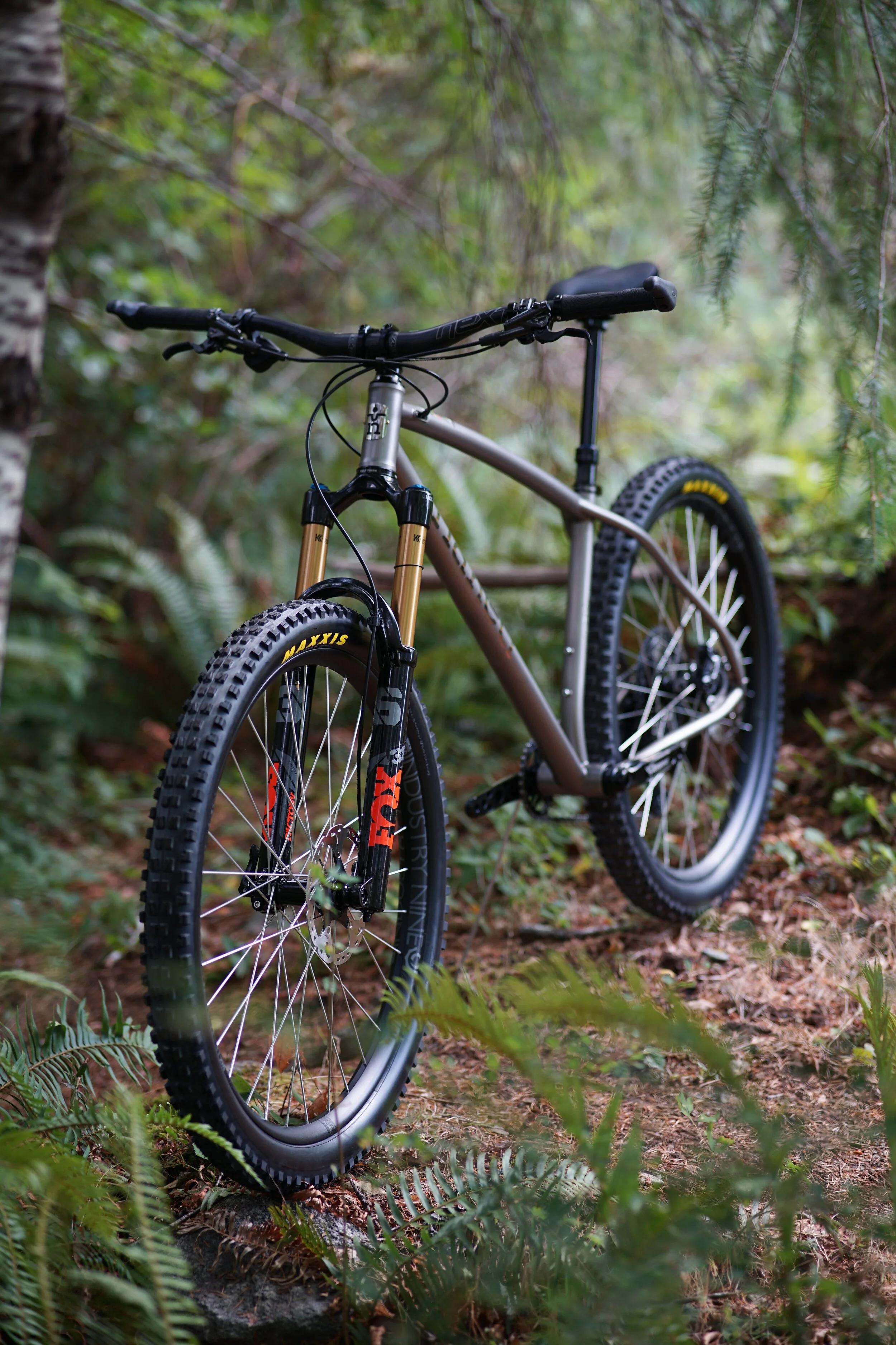 Nevil's Ti 29+ — Naked Bicycles & Design