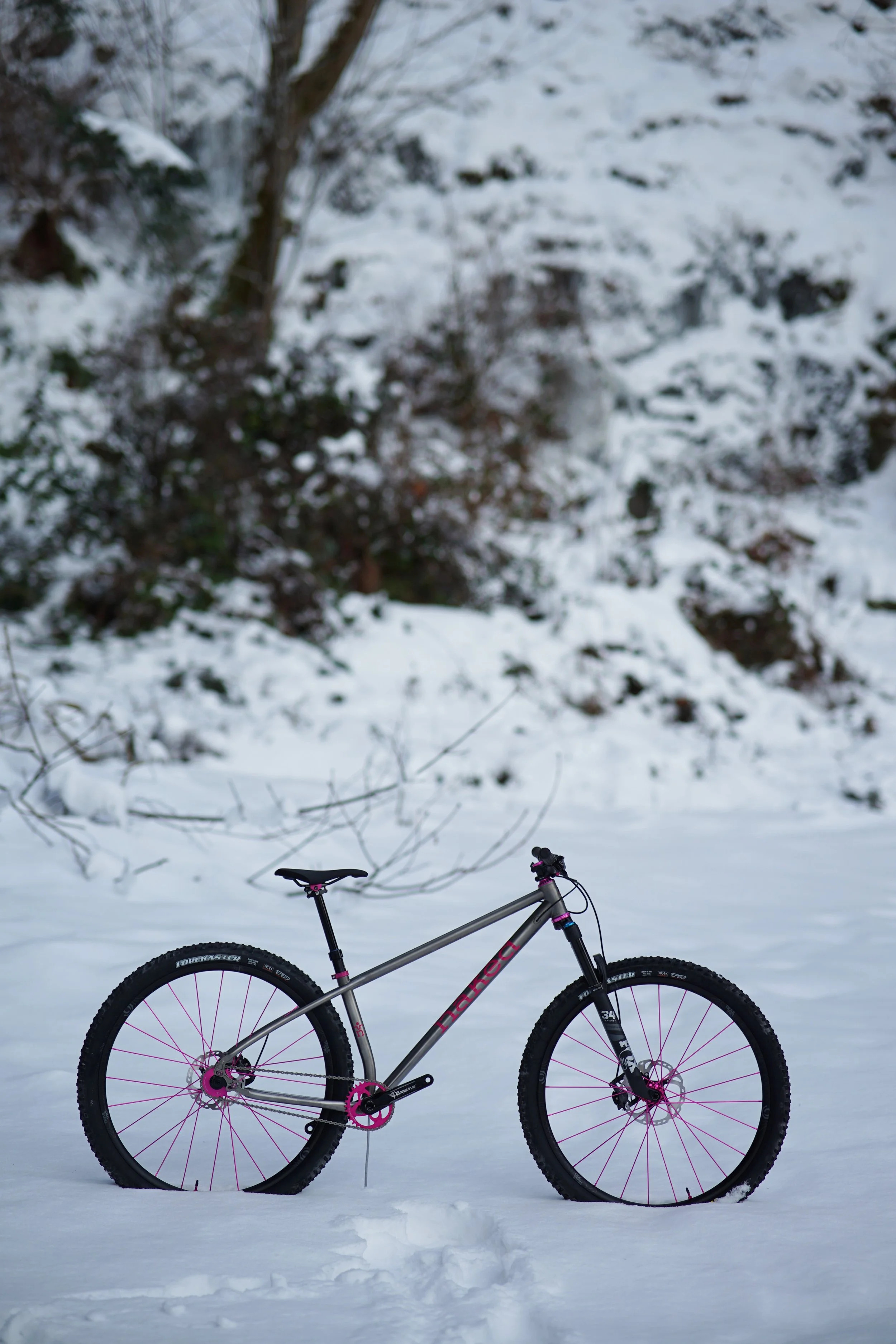 Naia's Ti 29er Singlespeed MTB — Naked Bicycles & Design