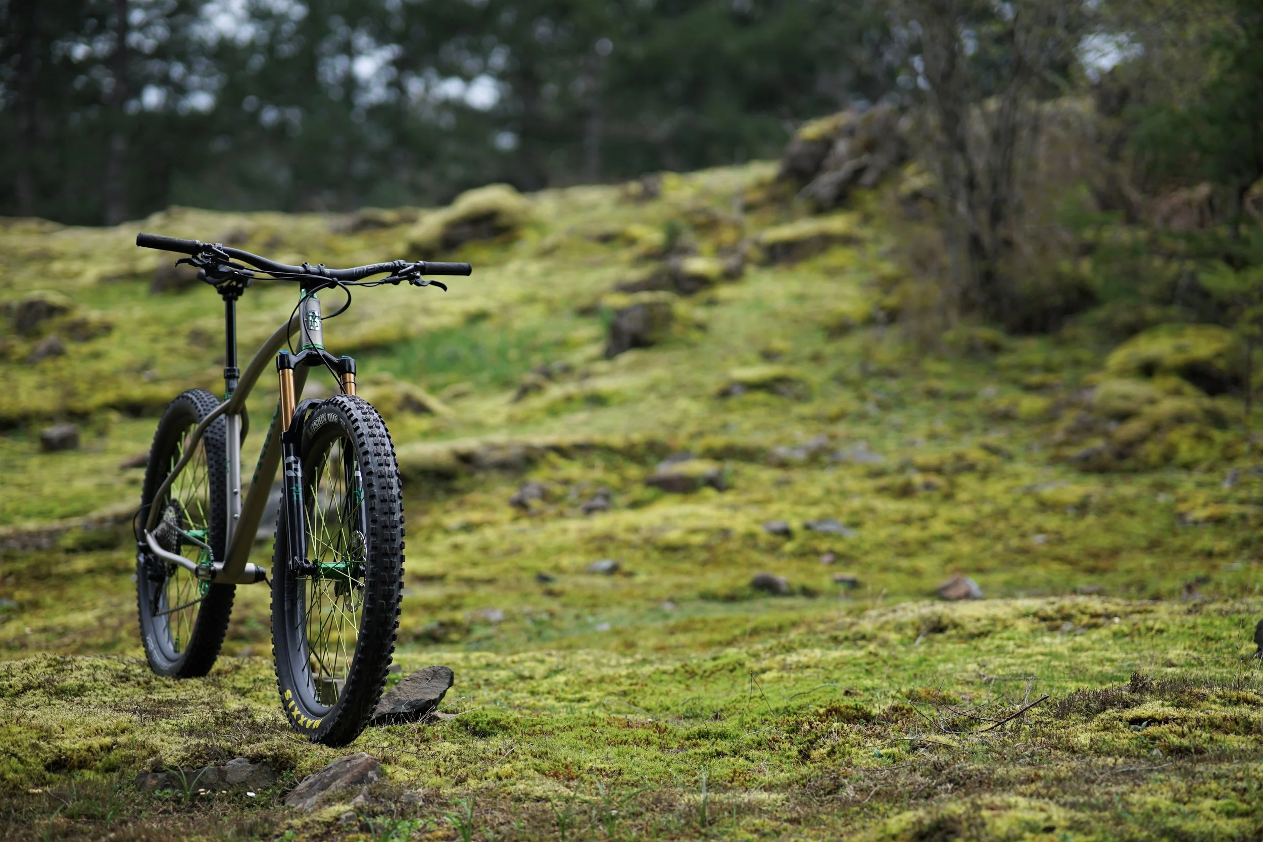 Dan's Ti 29er MTB — Naked Bicycles & Design