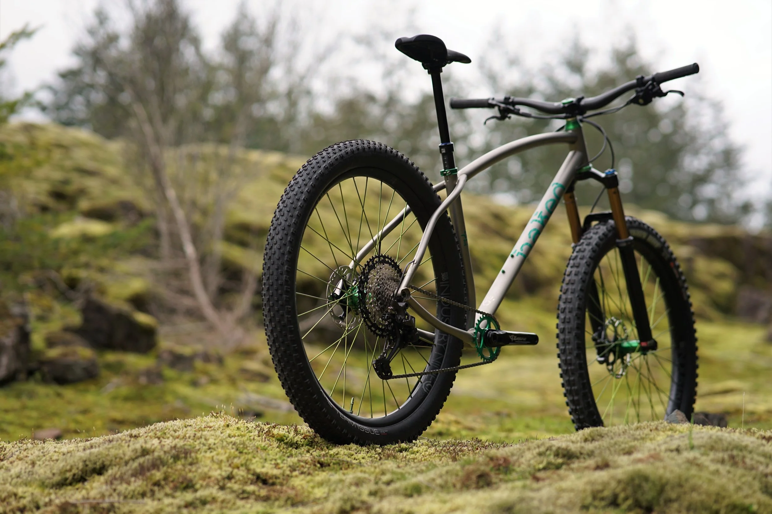 Dan's Ti 29er MTB — Naked Bicycles & Design