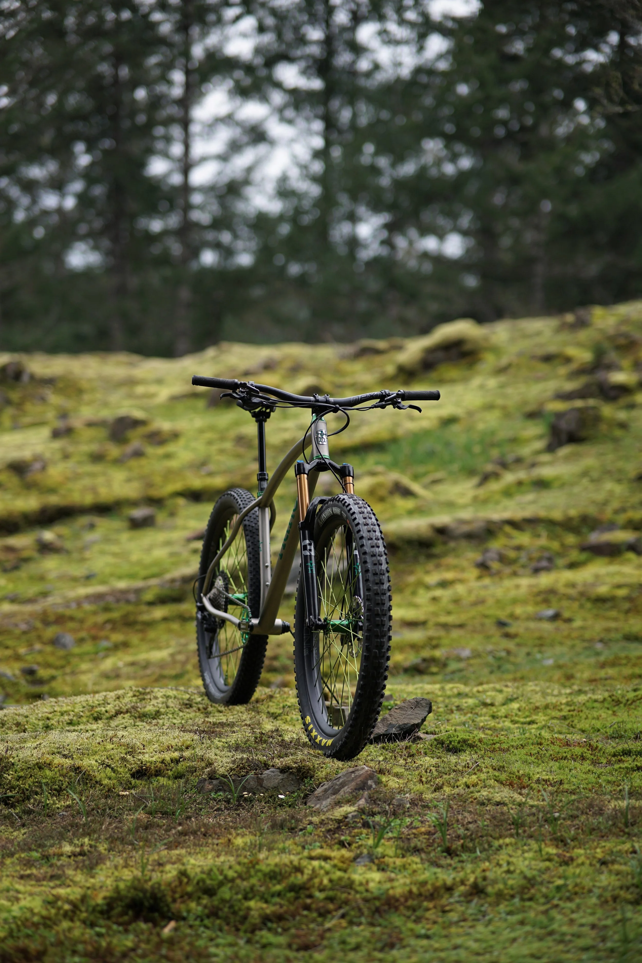 Dan's Ti 29er MTB — Naked Bicycles & Design