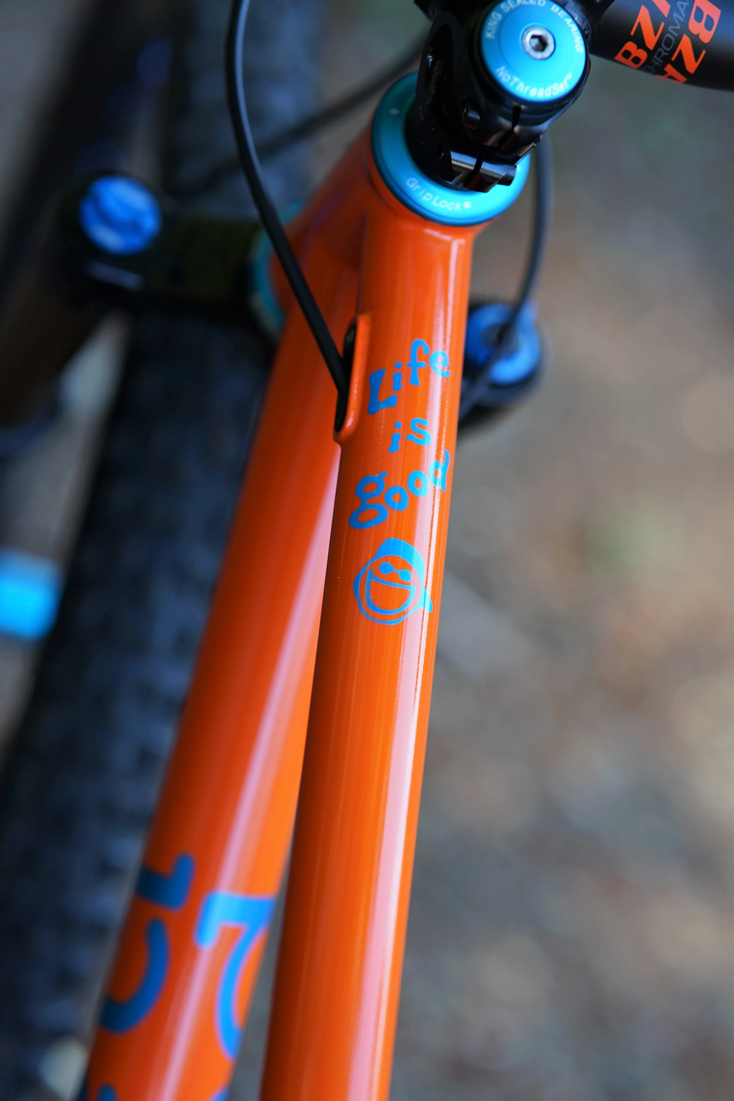 Dan's Ti 29er — Naked Bicycles & Design