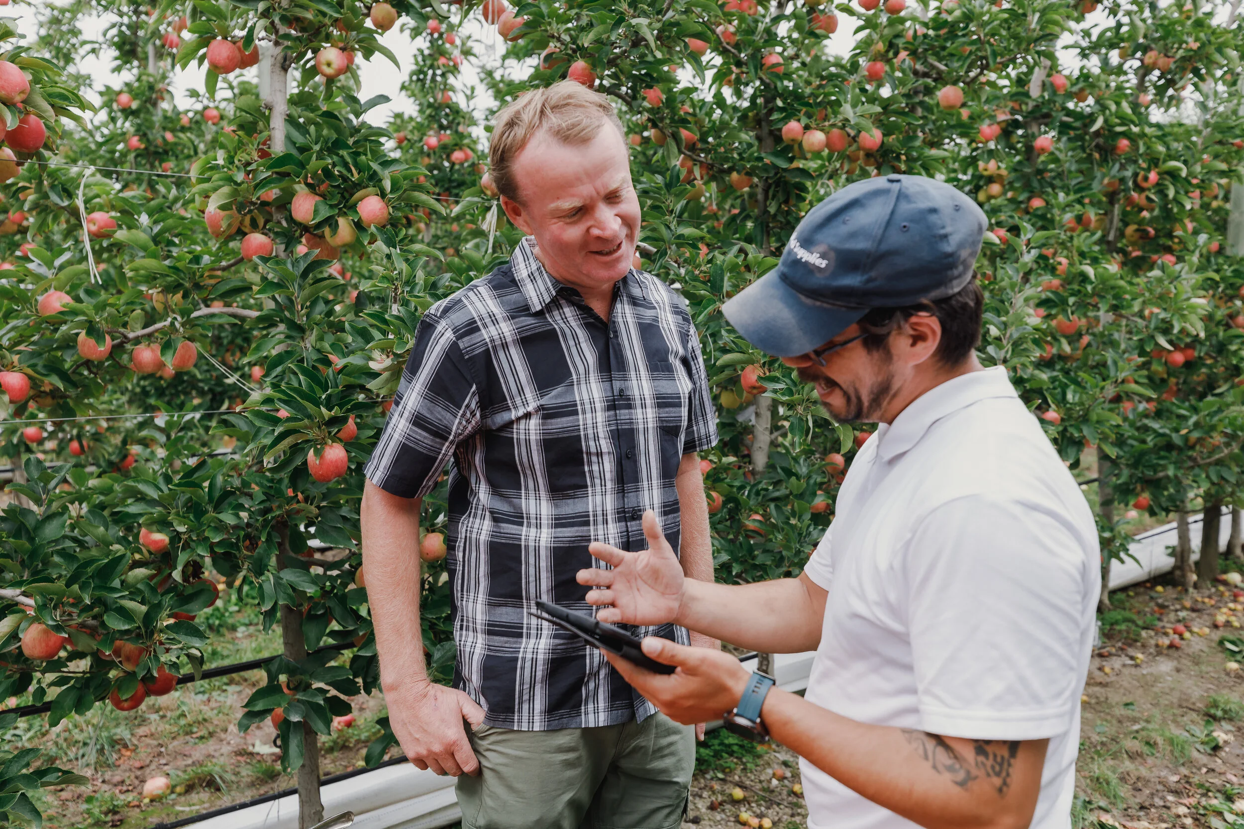 Our Growers - Luv'ya