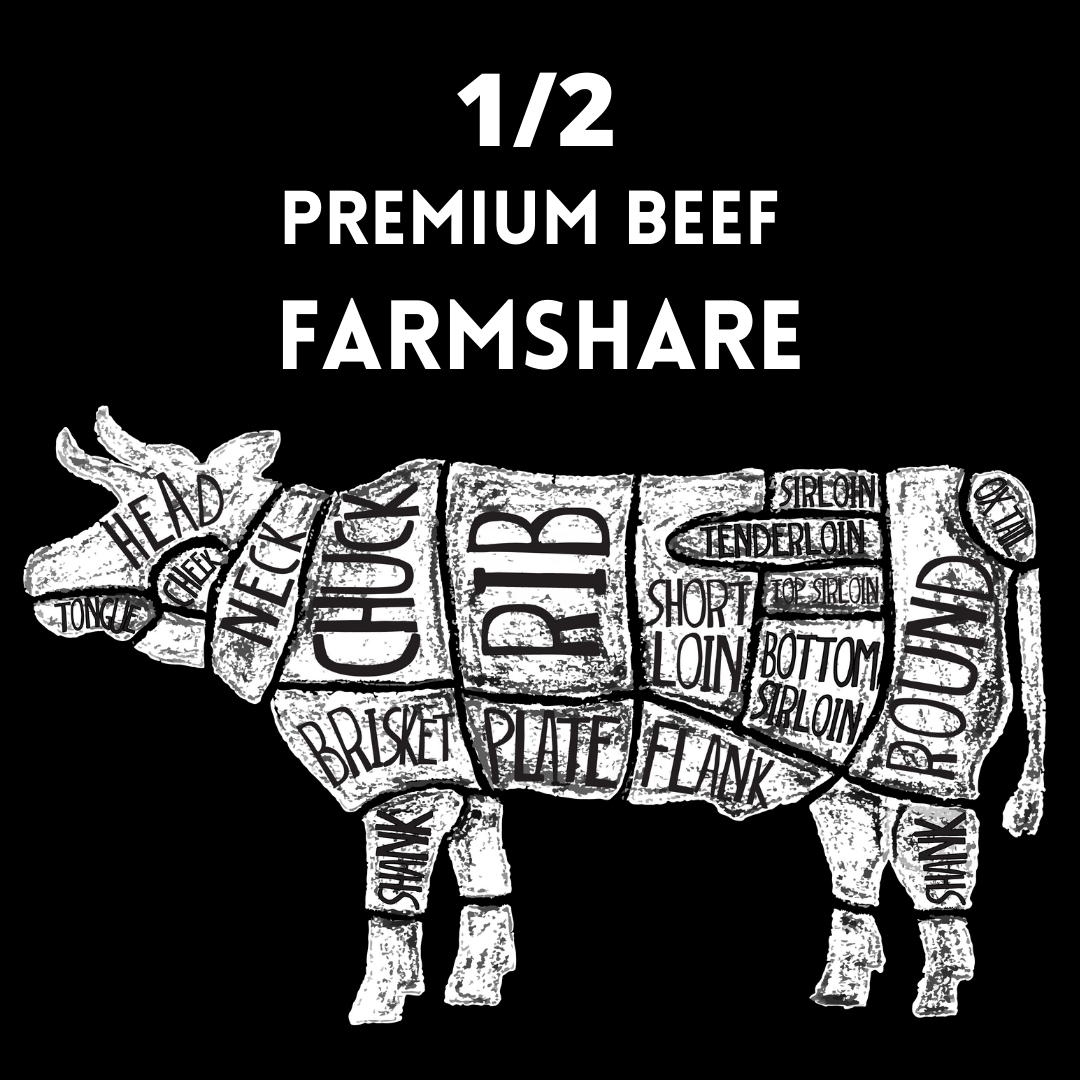 100% Grass Fed Angus Beef — Bent Gate Farms