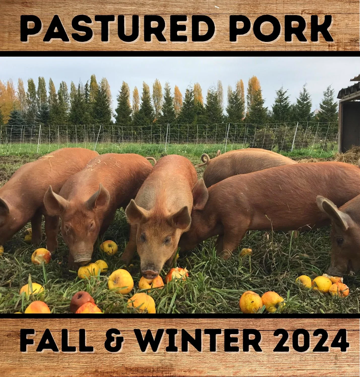 15lb Ground Pork Box — Bent Gate Farms