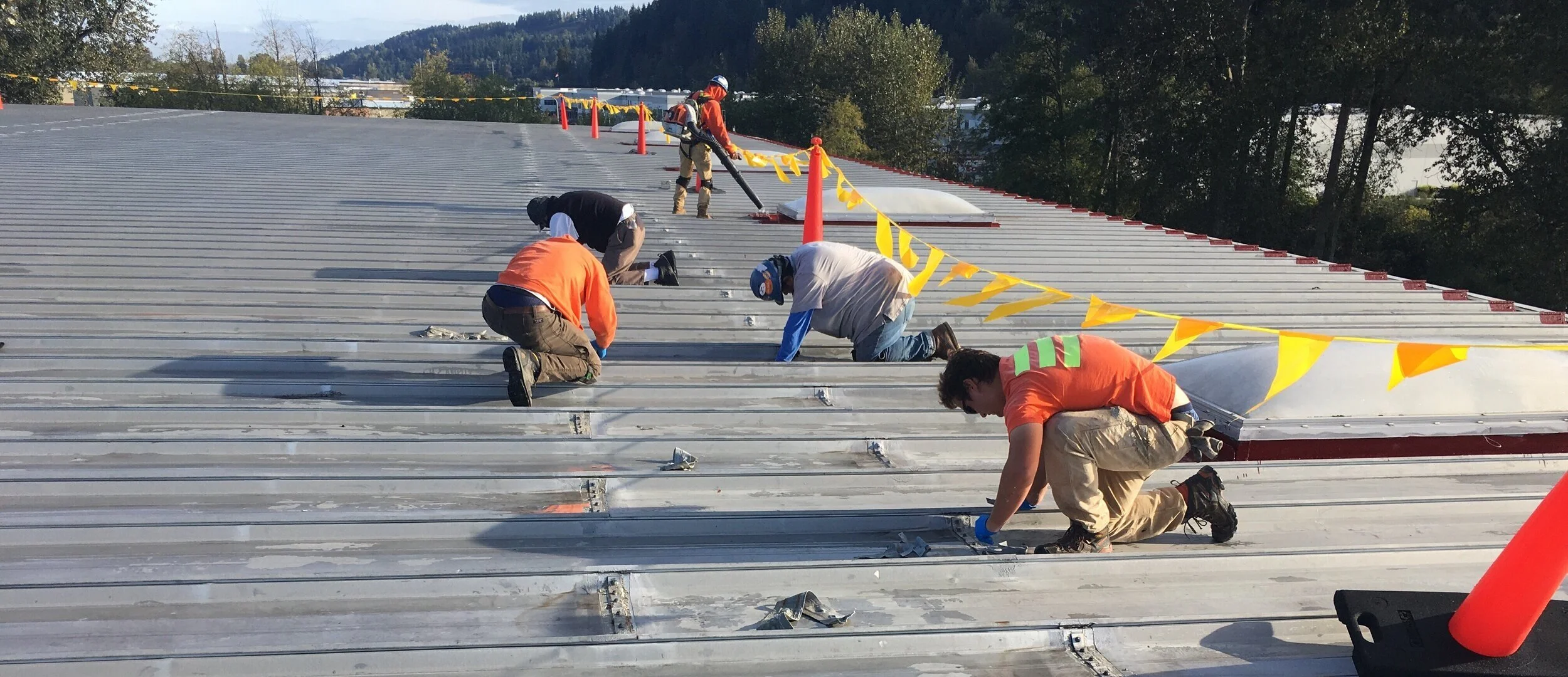 Project Portfolio — Wayne's Roofing