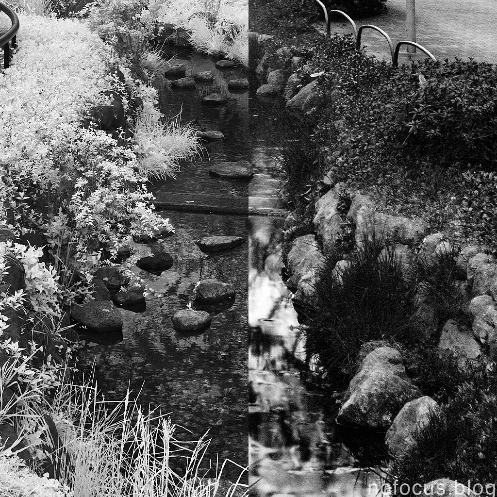 Infrared light photography VS Ultraviolet light photography — nofocus Infrared light photography VS Ultraviolet light photography — nofocus