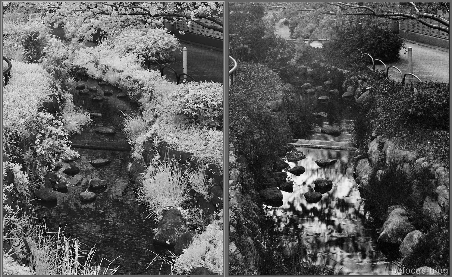 Infrared light photography VS Ultraviolet light photography — nofocus