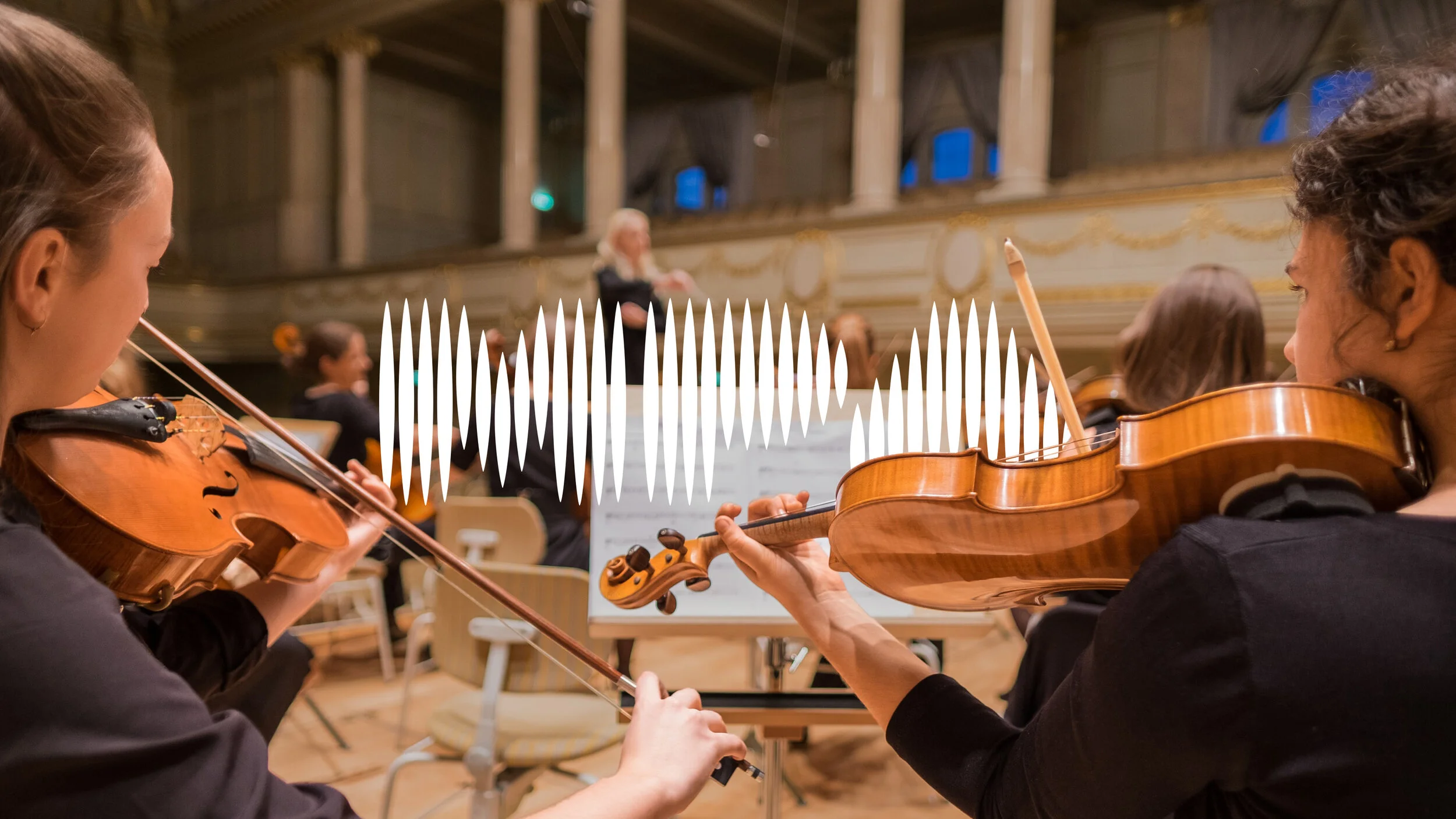 MPA Rebrand | The Playground Studio