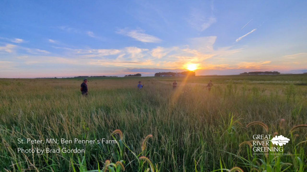Zoom backgrounds for when you’d rather be outside — Great River Greening