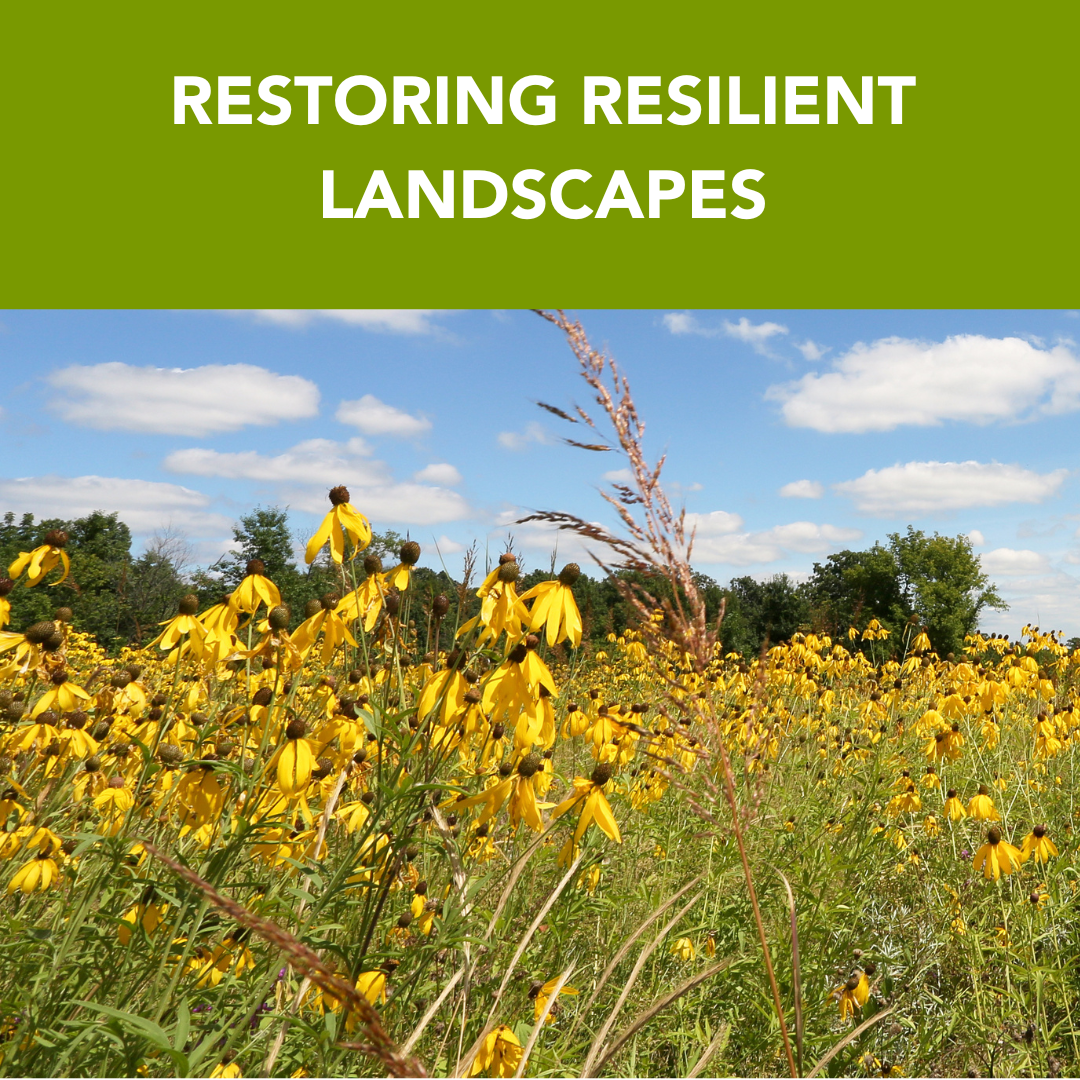 Conservation Circle — Great River Greening