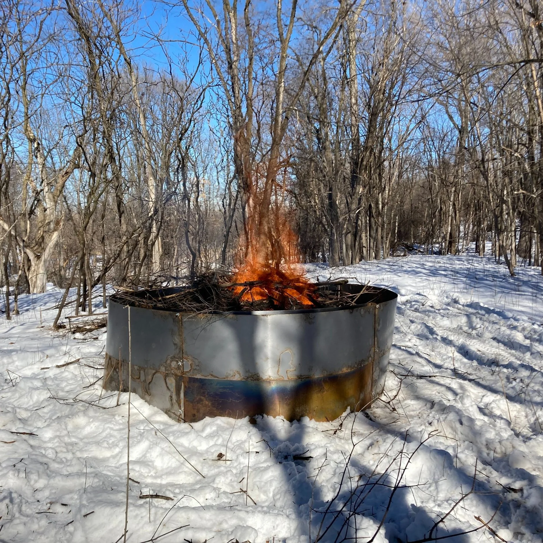 Biochar — Great River Greening
