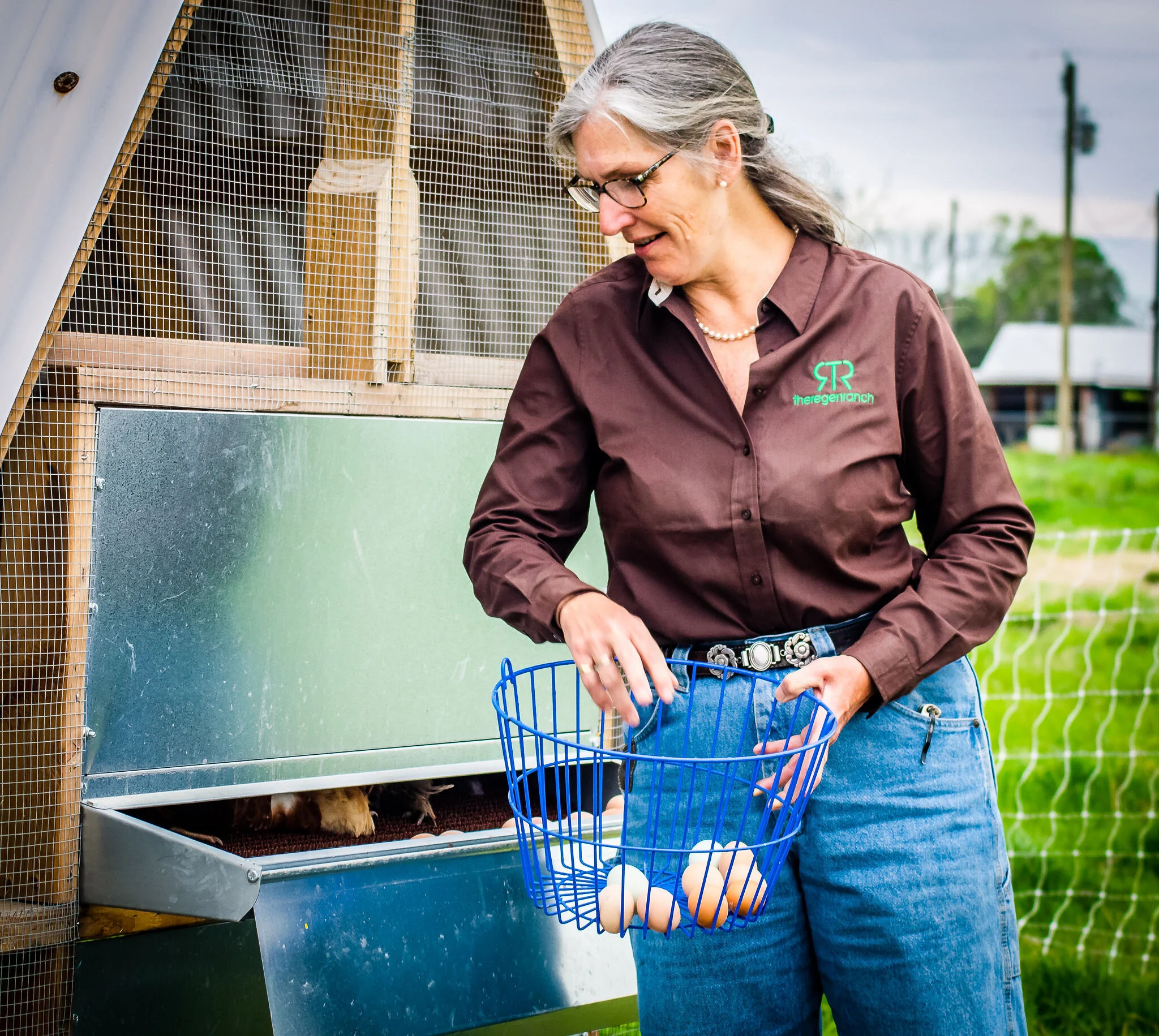 why is the fat on my steak so yellow? — the regen ranch