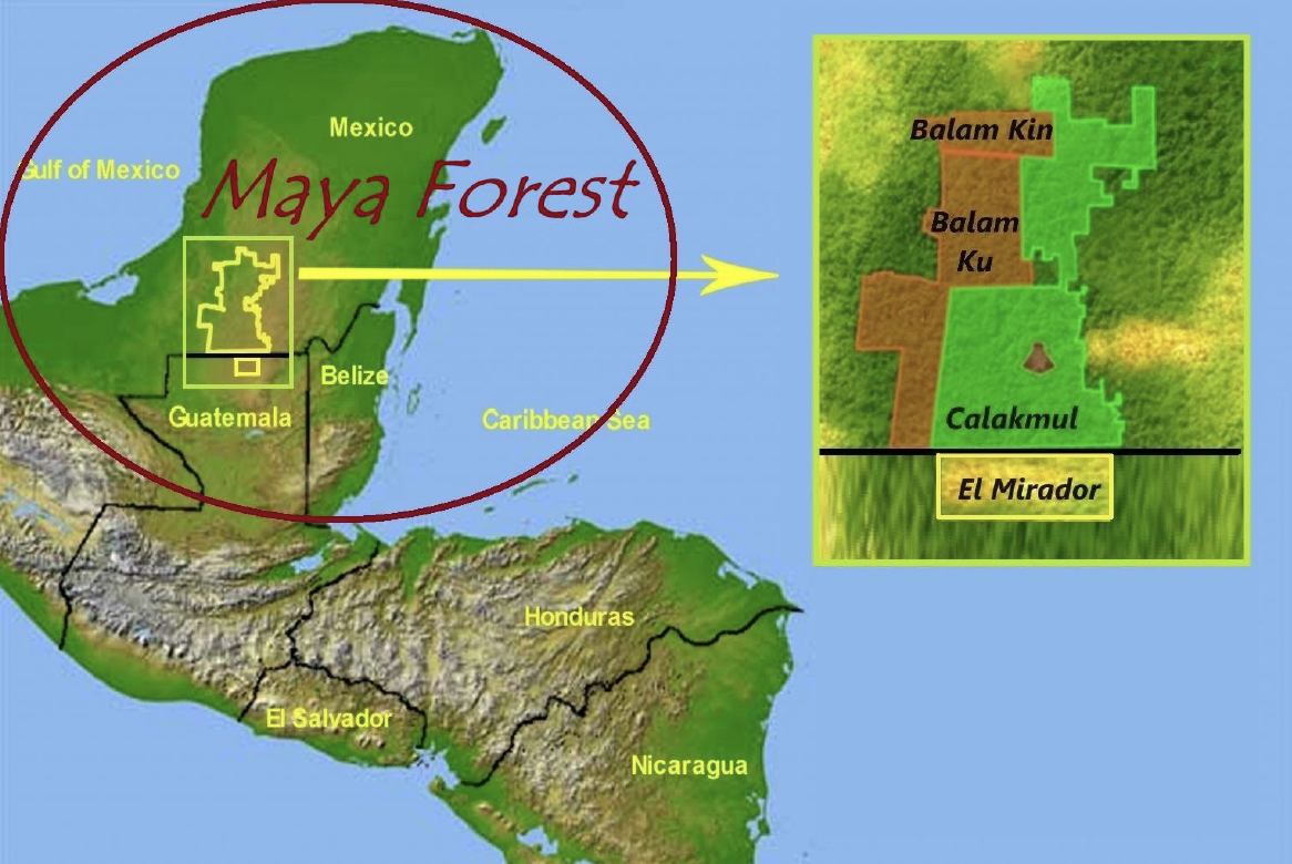 MAYA FOREST — Milwaukee Audubon Society
