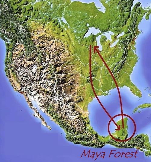 MAYA FOREST — Milwaukee Audubon Society