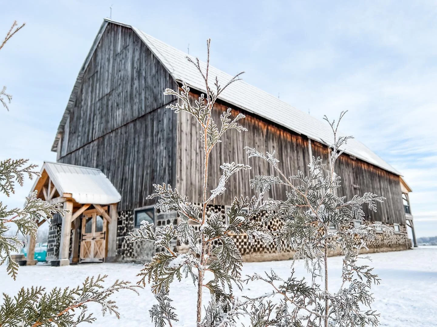 Synergy Farm & Forge | Ottawa Hunter Jumper Farrier