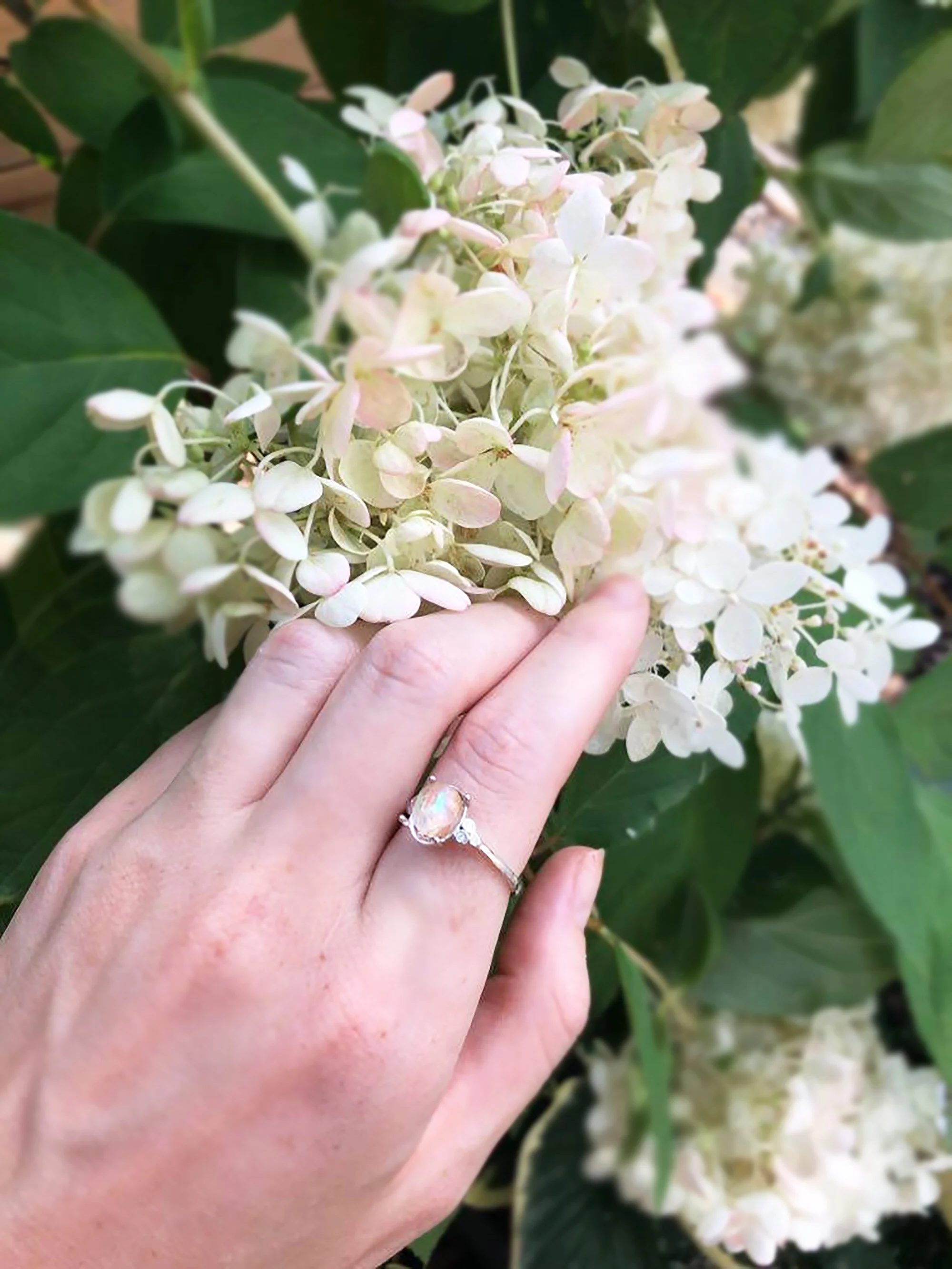 Bouquet & Frame