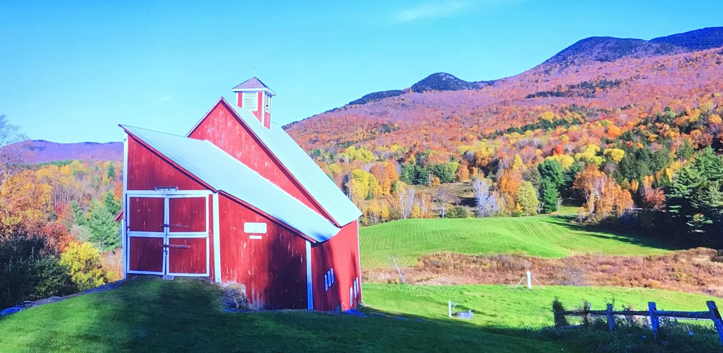 OPEN ACUPUNCTURE PROJECT