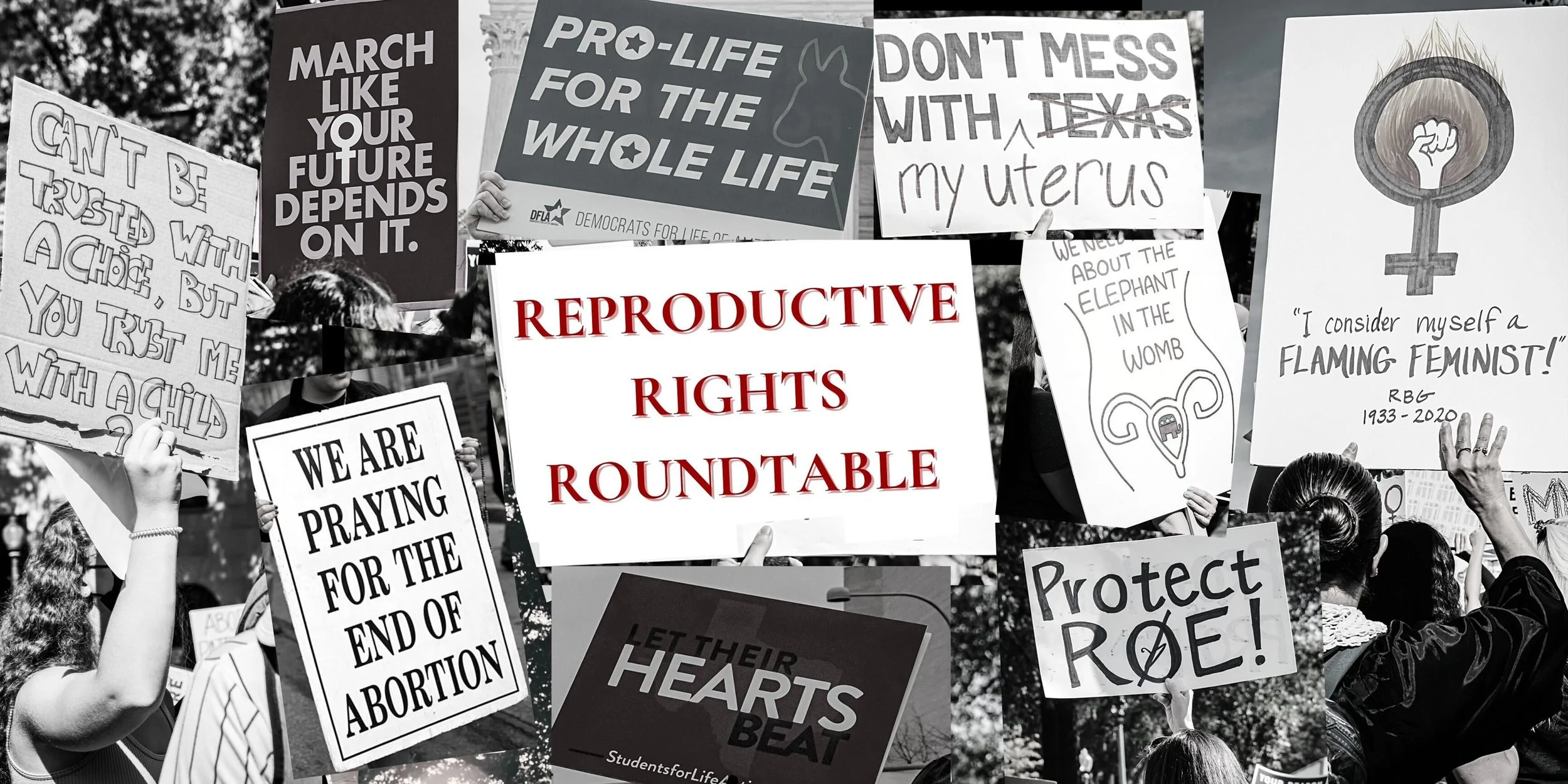 Reproductive Rights Table — Harvard Undergraduate Law Review