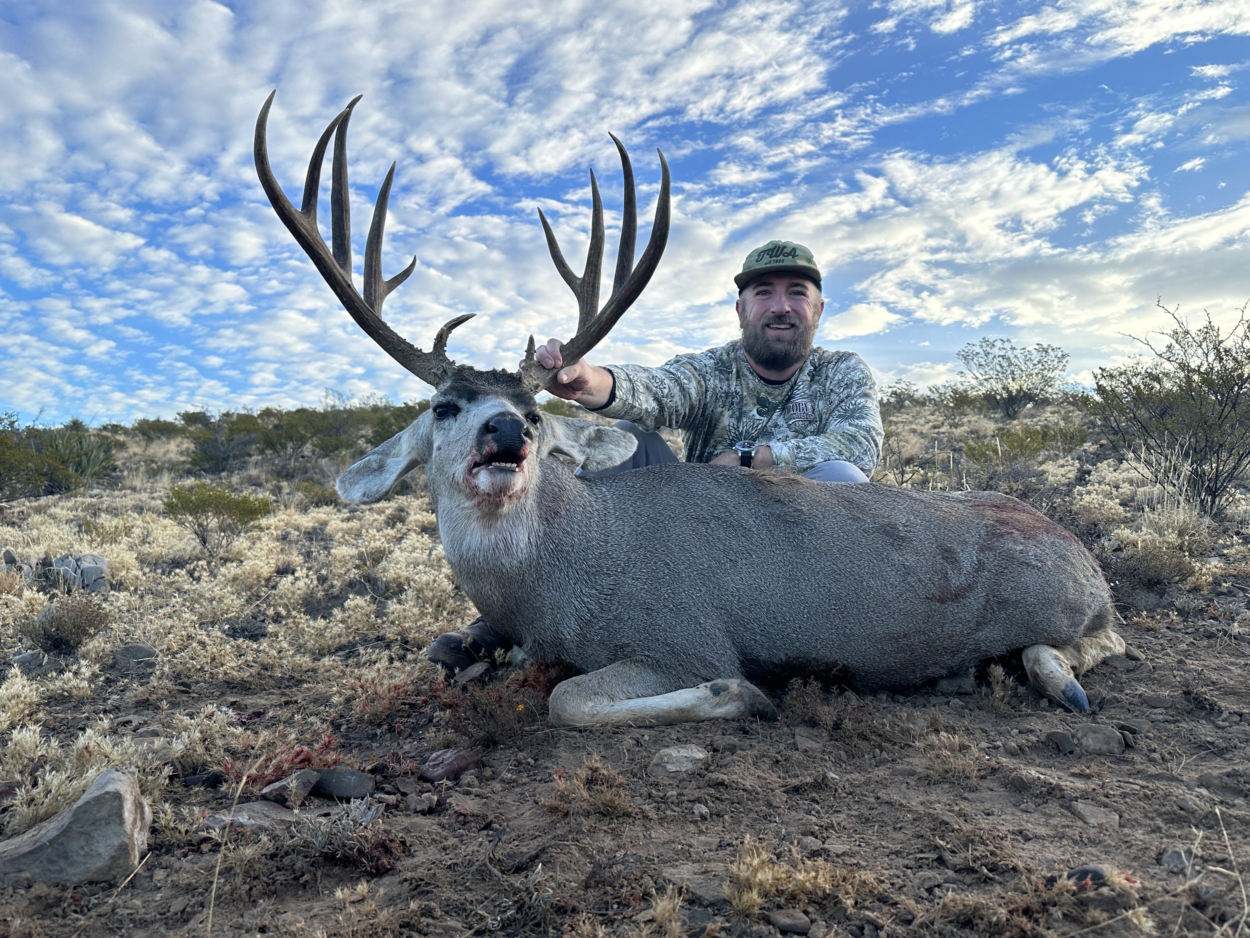 TROPHY MULE DEER — Double M Ranch