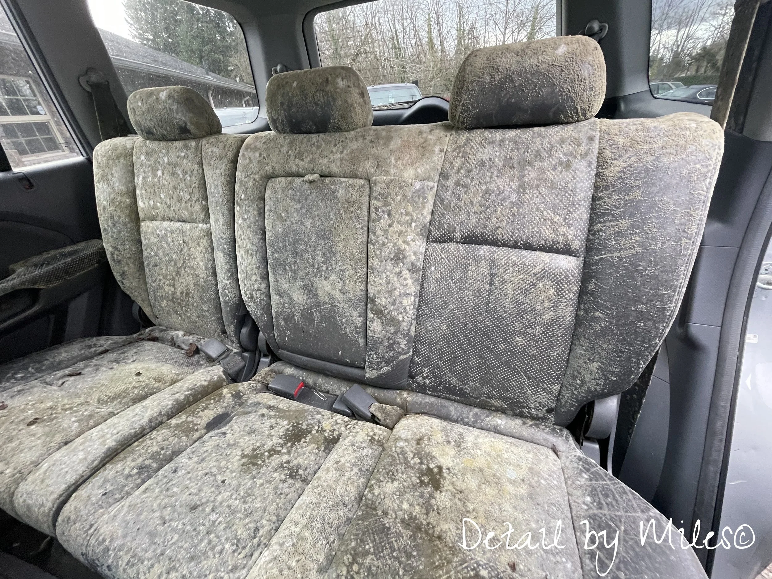 Mold In Vehicle Detailing | Mildew | Odor | Water Leak — Detail by Miles