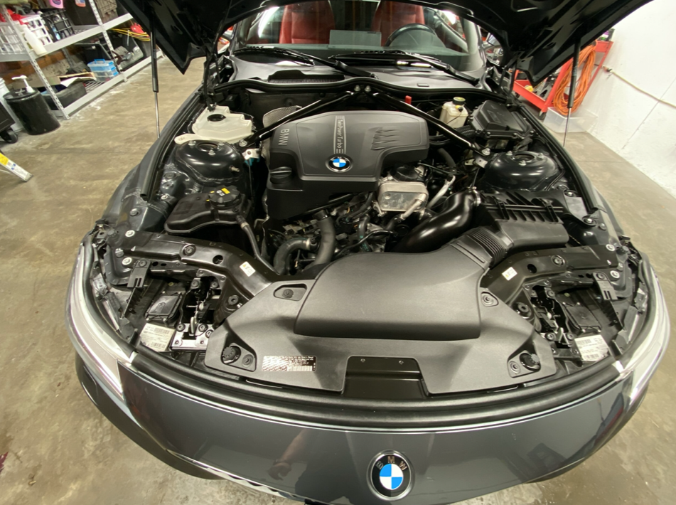 Auto Detail Services Specializing in mold remediation and water leak ...