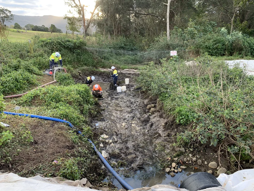 Dam Dewatering & Aquatic Ecology | Narla Environmental