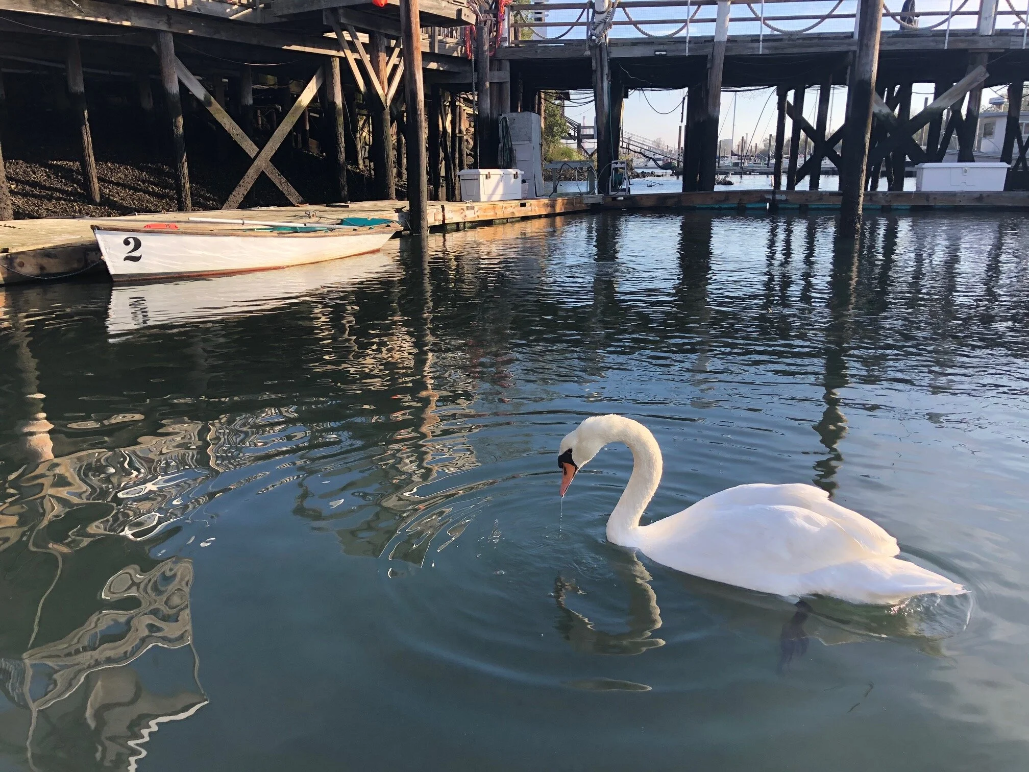 Captain's Cove Seaport