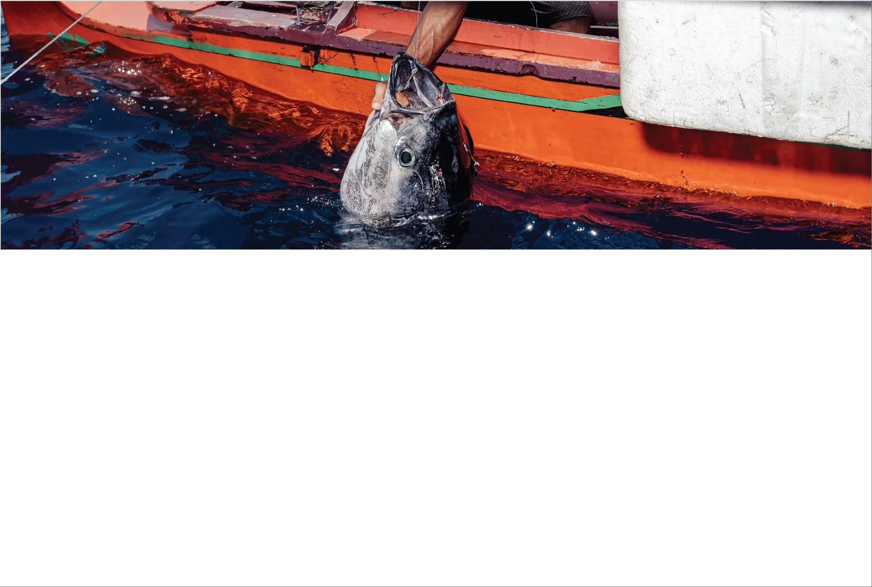 Sustainable Seafood Brand Embracing Communities ⎜JALA FISH