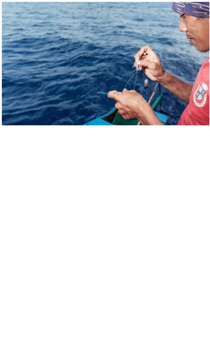 Sustainable Seafood Brand Embracing Communities ⎜JALA FISH