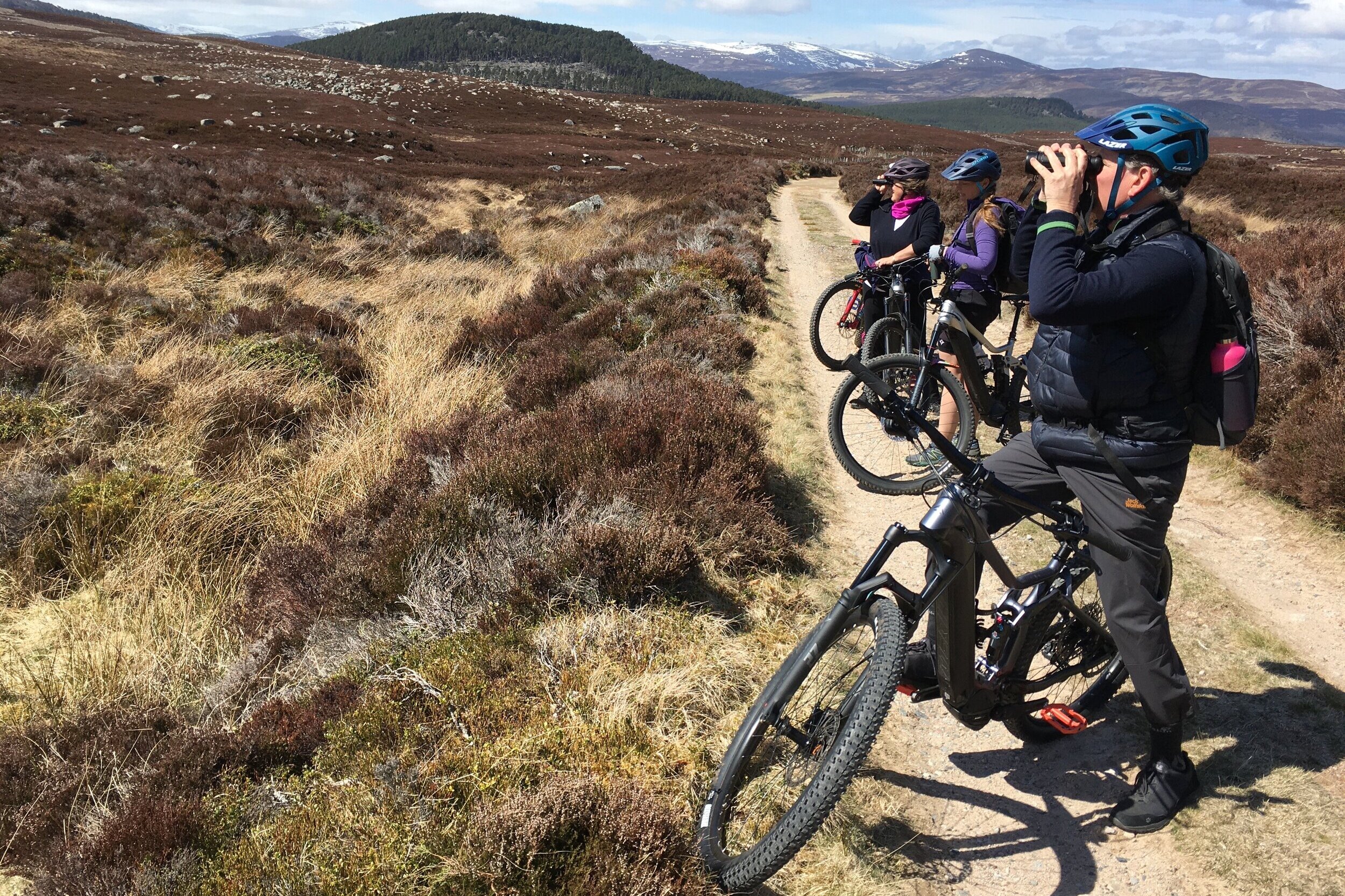 Wild Discovery | Pioneering Wildlife Tours and Eco Tourism Experiences ...