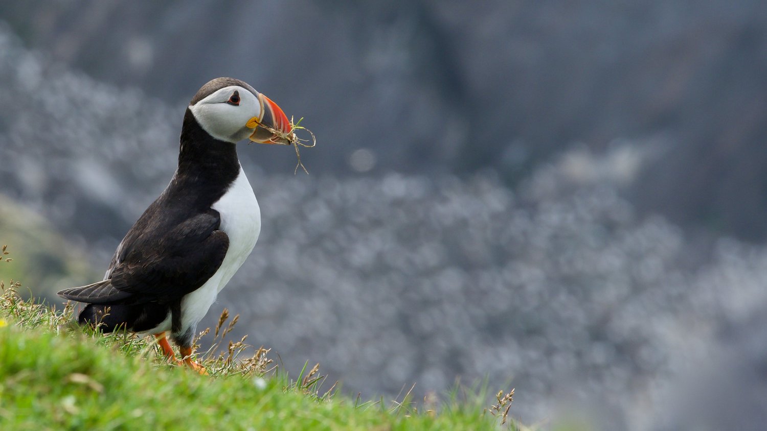 Fully Inclusive Wildlife Tours in Scotland | Behind the Scenes | Wild ...