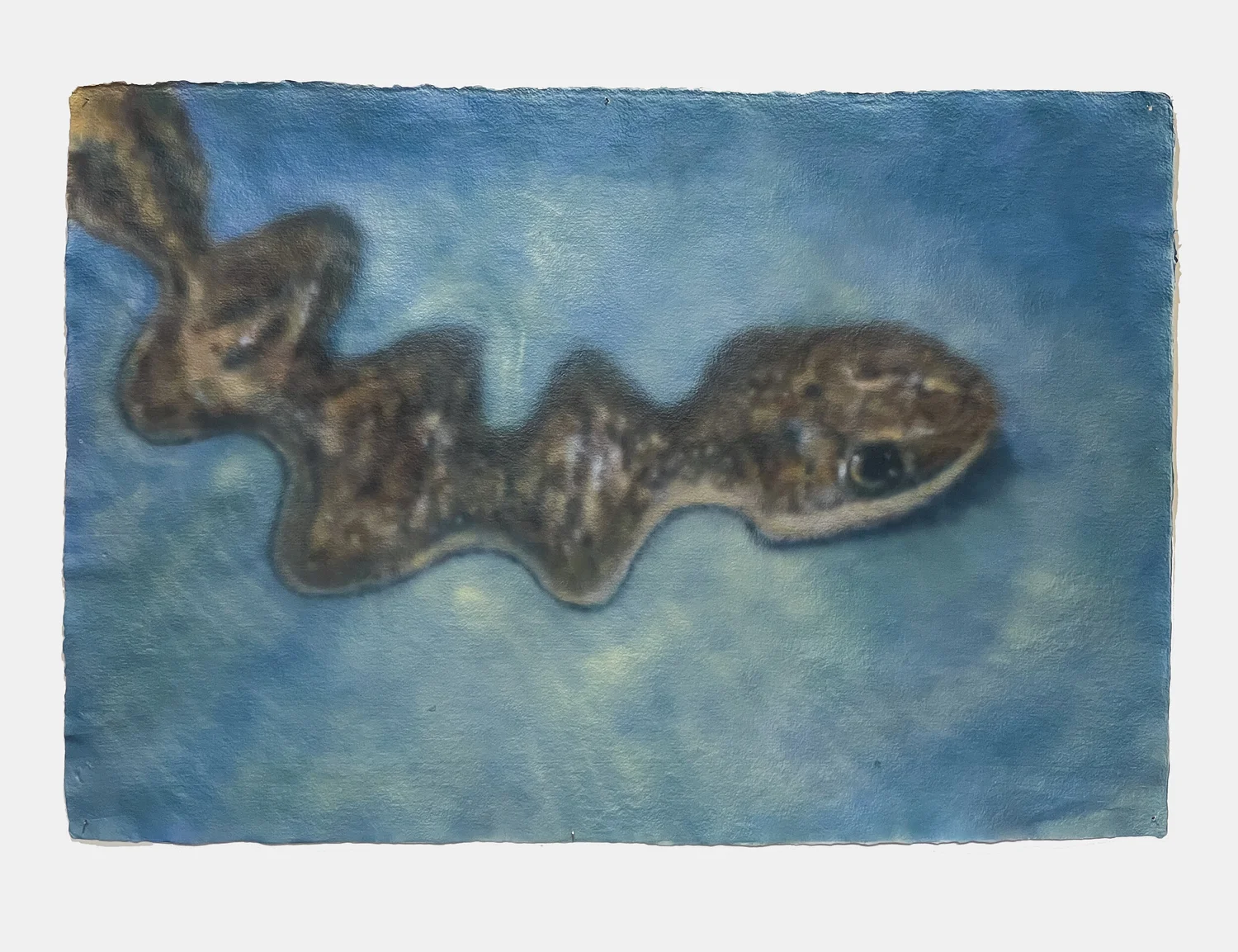 Jack Jubb — THE RESIDENCE GALLERY