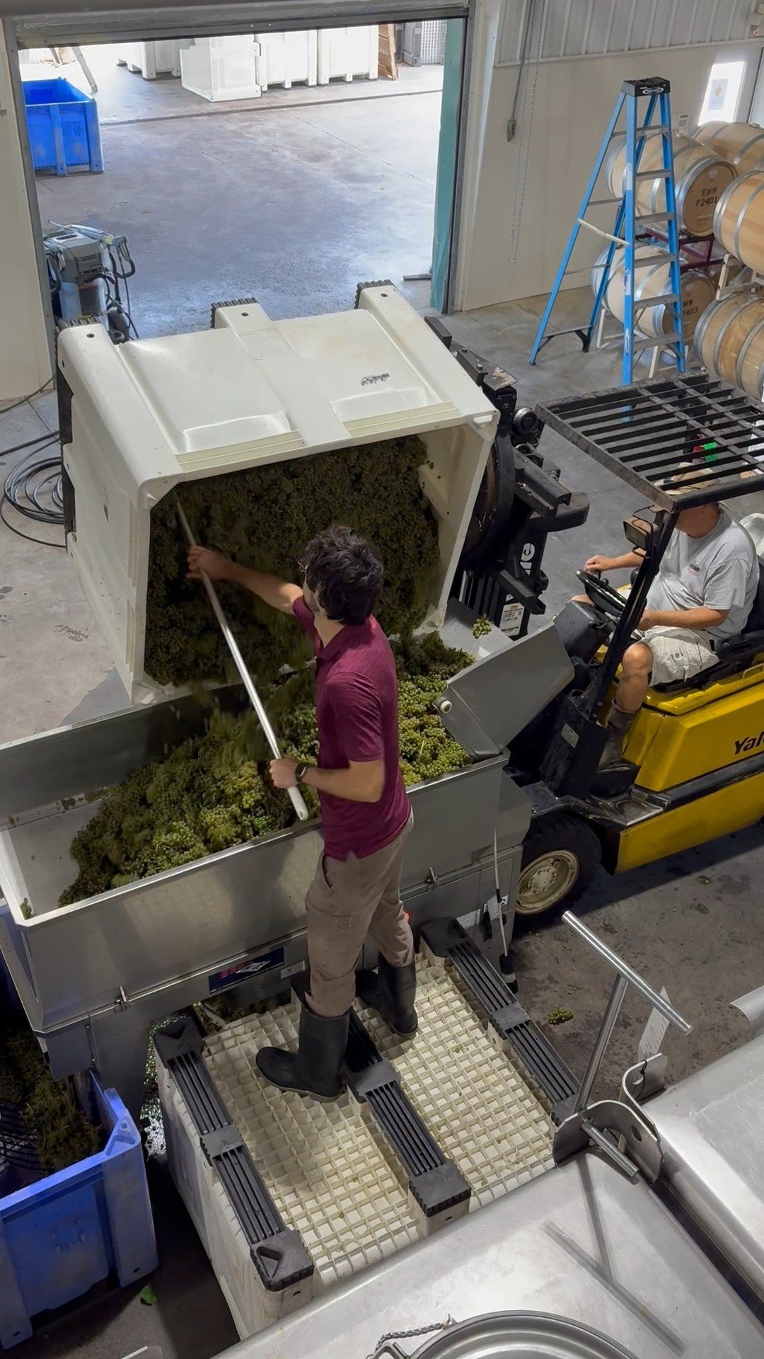 Visit — Windsor Run Cellars