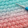 Crochet Pebble Stitch [Free Video Tutorial & Written Pattern!] — Hooked ...