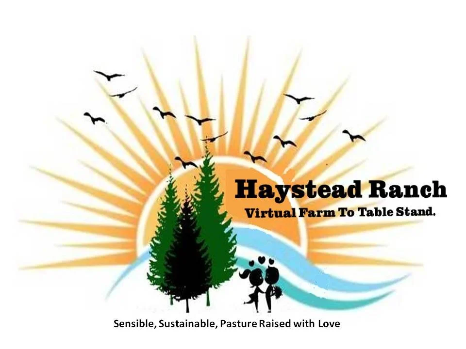 The Haystead Ranch