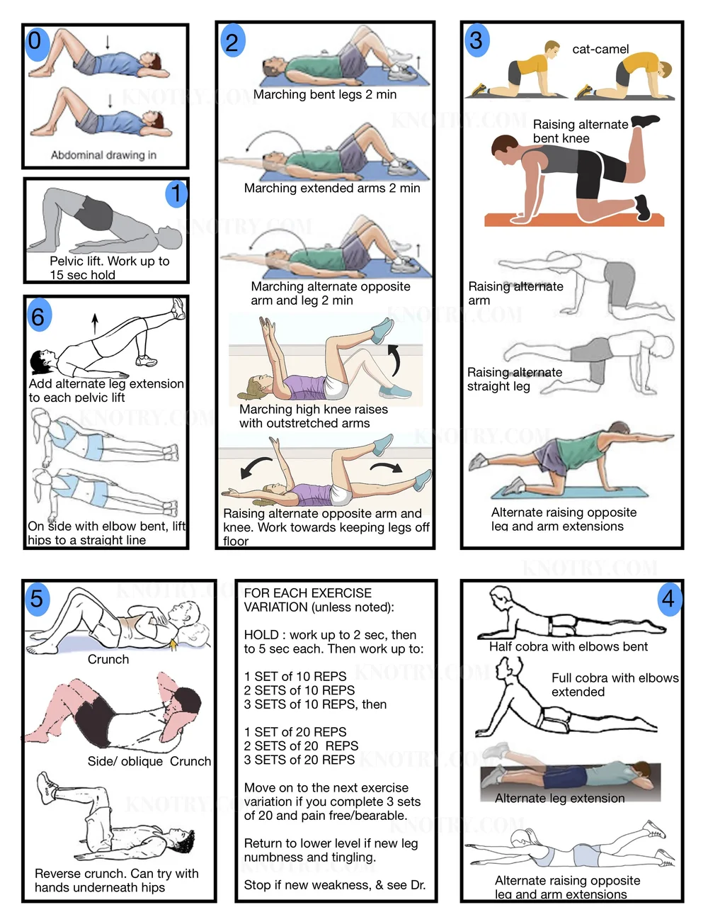 Exercise Plan for Chronic Back Pain — Knotry