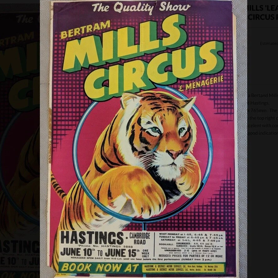 Animal Activism Anti Circus Protest Fly Posters — Eco Editions
