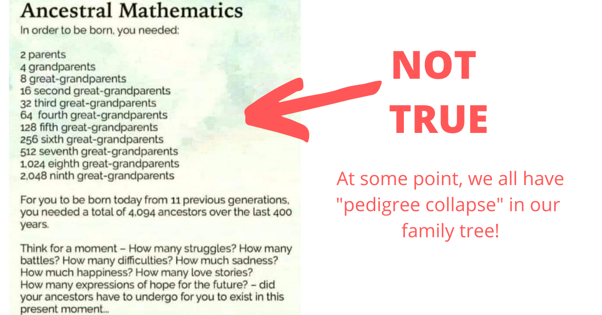 What's Wrong with This Image? Explaining "Pedigree Collapse" and ...