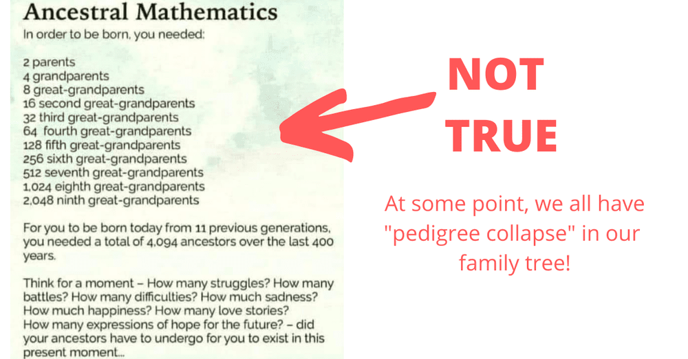 What's Wrong with This Image? Explaining "Pedigree Collapse" and ...