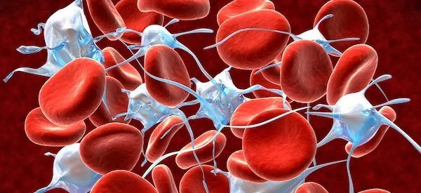 Bleeding Disorders 101 — Bleeding Disorders Alliance Illinois