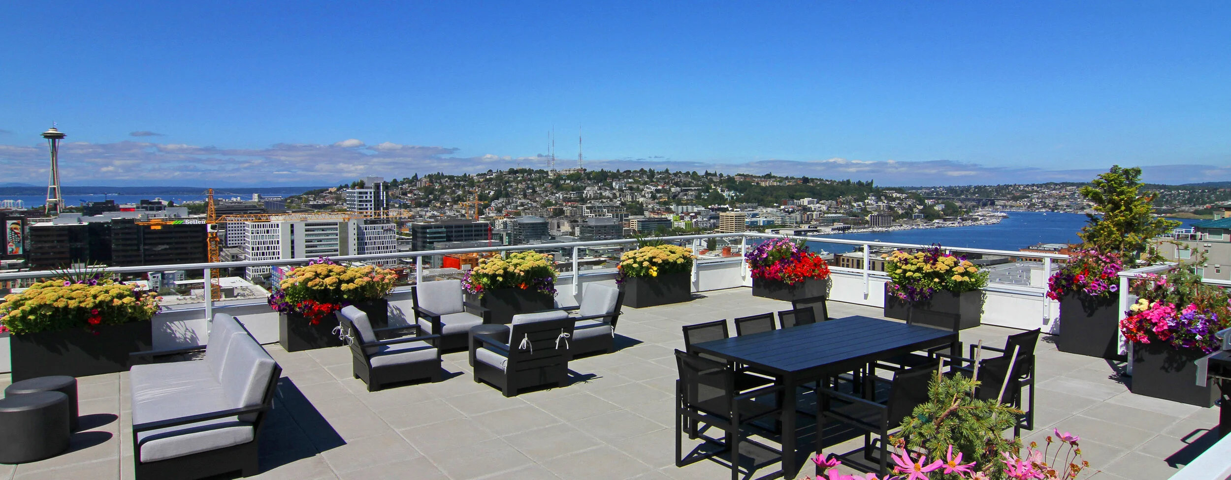 OSLO Seattle | Capitol Hill Luxury Apartments for Rent