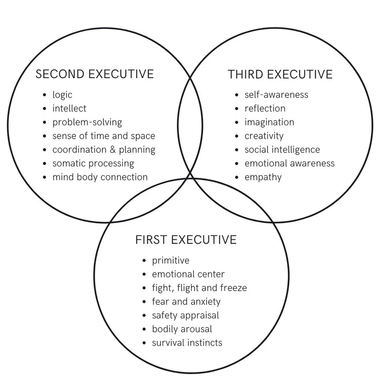 An Integrative Model of Executive Functioning — Dr. Lou Cozolino
