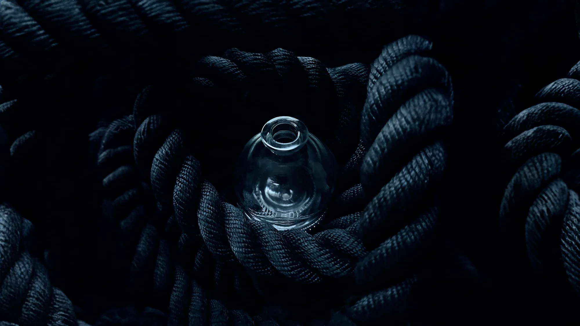 Oak Vessel History — THE OAK VESSEL