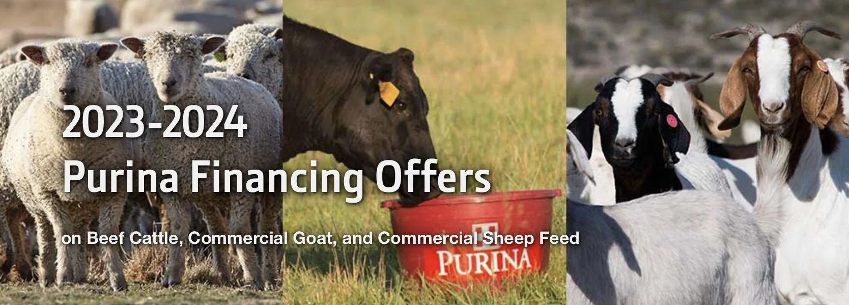 California Livestock Services - Tubs, Minerals & Nutrition — California Livestock Services