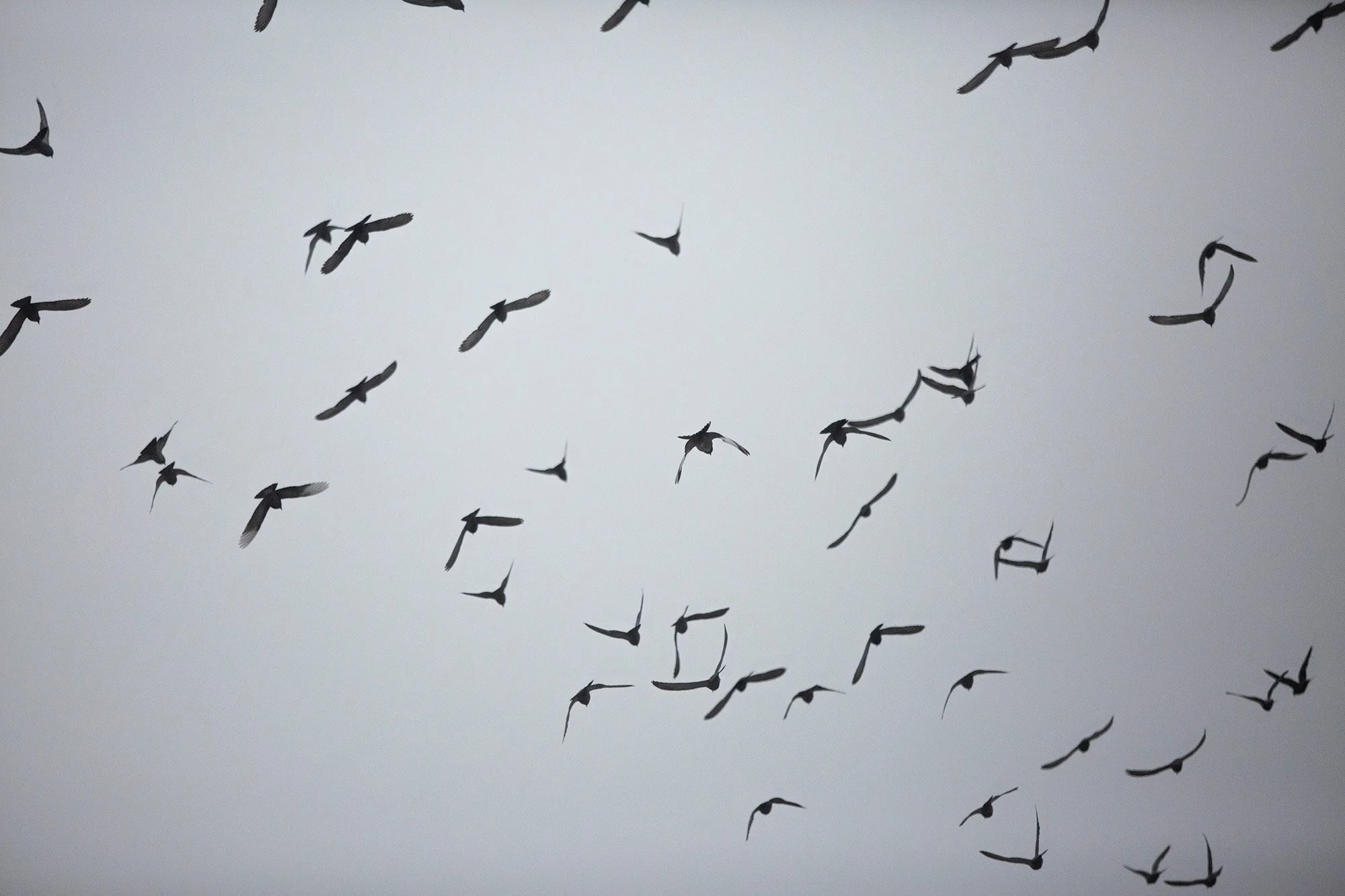 Breaking Free: Creative Portrait — Judith Hill Photography