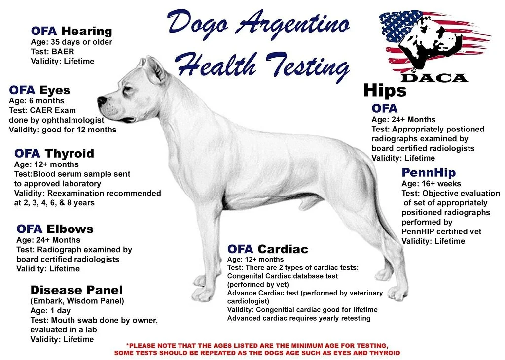 What Is A Baer Test For Dogs