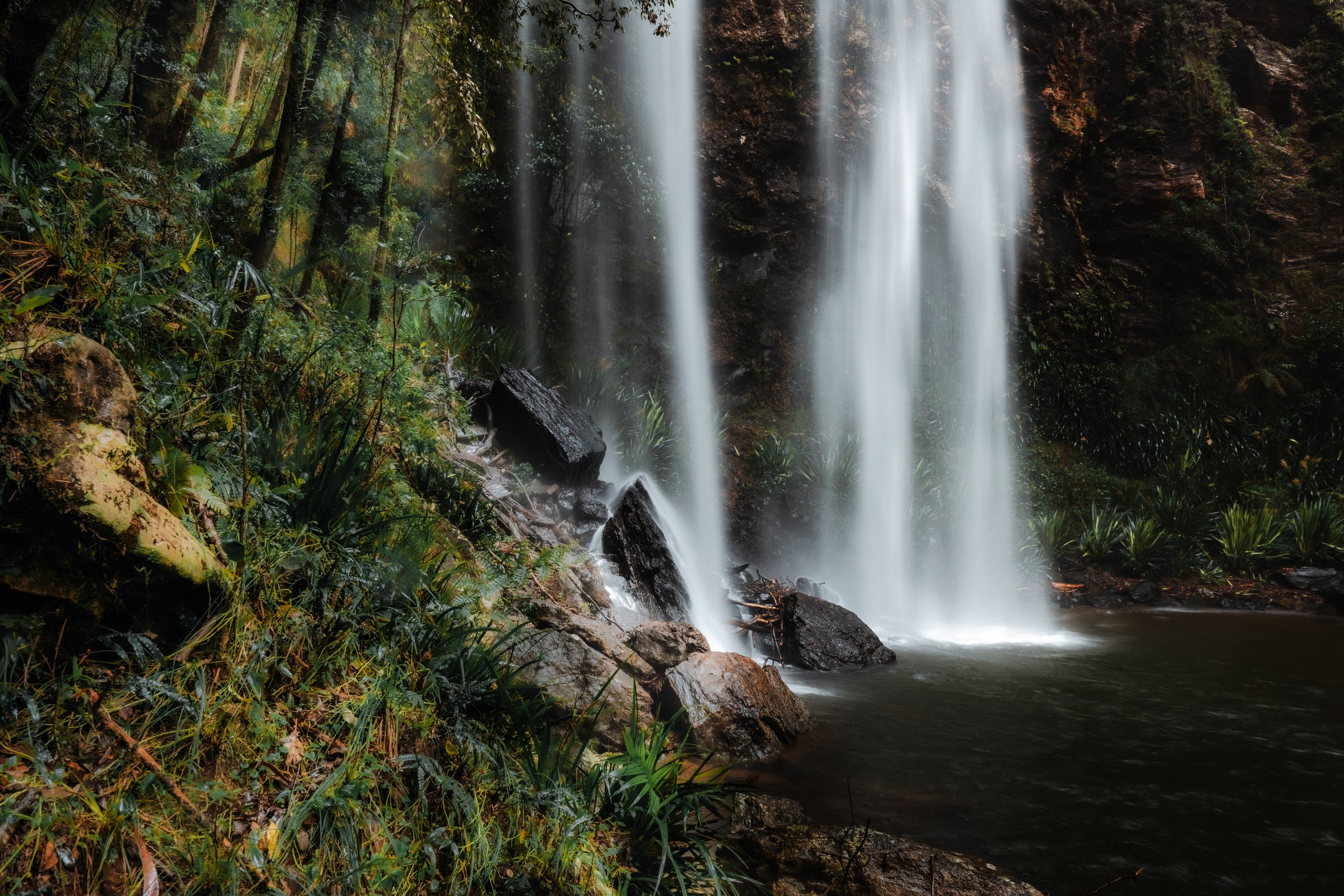 My Camera Diairies - Julia Marr Photography